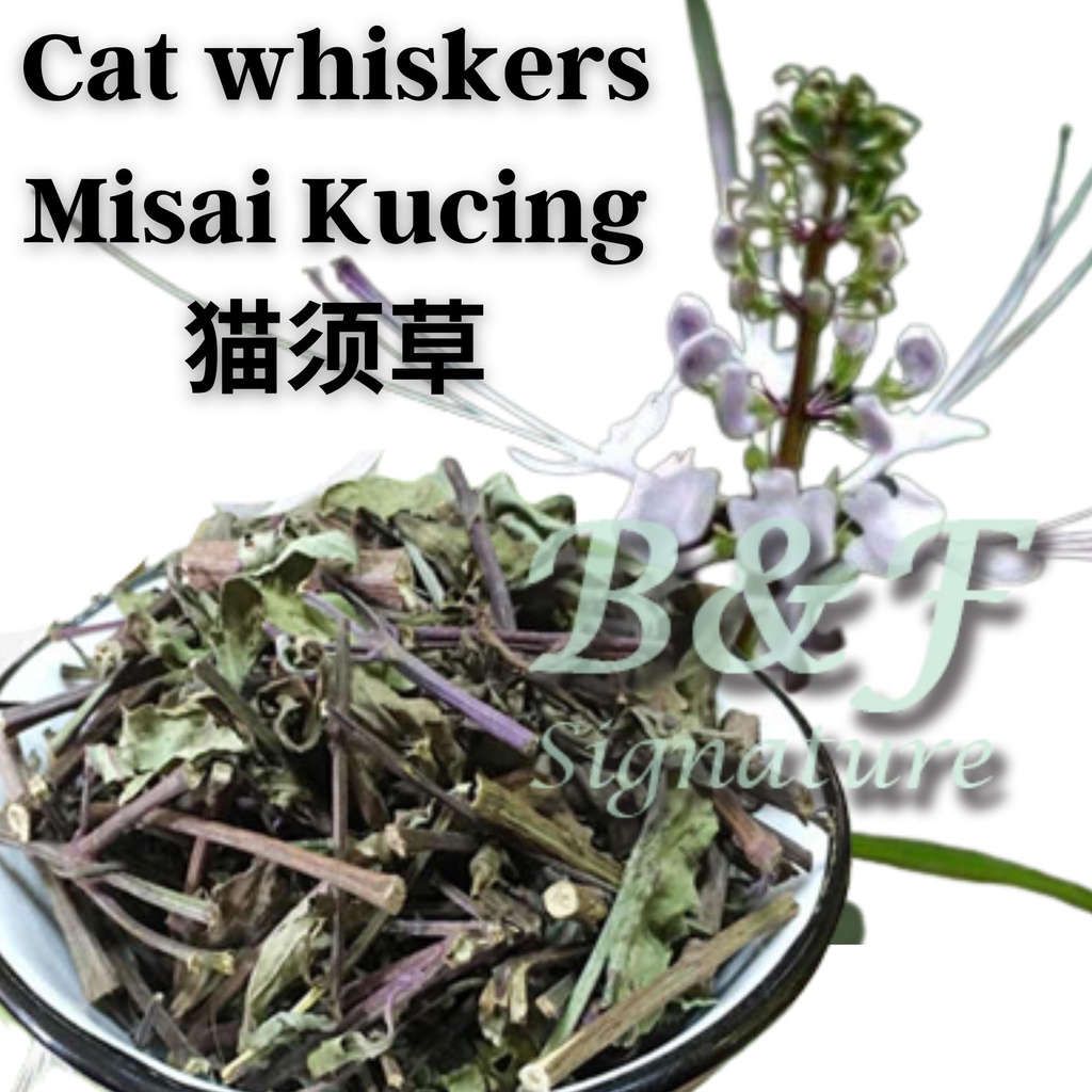 Cat whiskers Tea Leaf 猫须草 Misai Kucing Original Asli Teh Misai Kucing ...