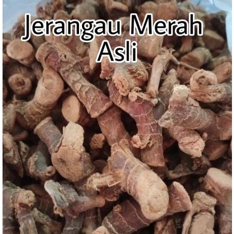 Jerangau Merah Asli(70gram) | Shopee Malaysia