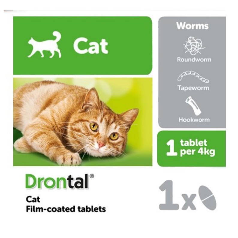 (ORI) Drontal Cat Deworming Tablet /Penghapus Cacing Kucing - 1 Biji ...