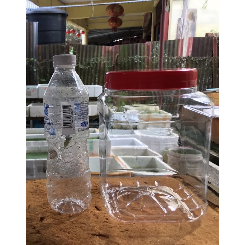 Balang Biskut Raya / Su Tank Ikan Laga Bettafish🐠 | Shopee Malaysia