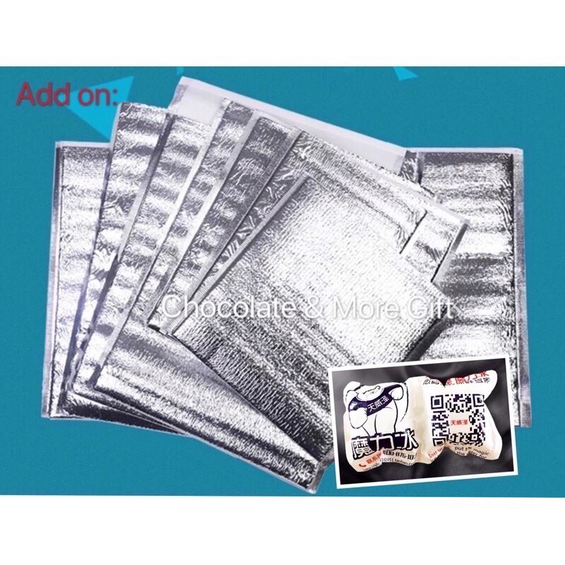 insulator bag with ice pack or ice pack only | Shopee Malaysia