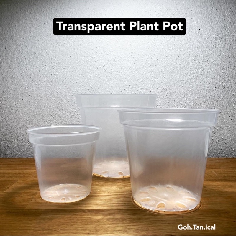 4” 5” 6” Transparent Pot | Clear Pot | Aroid Transparent Plant Pot ...