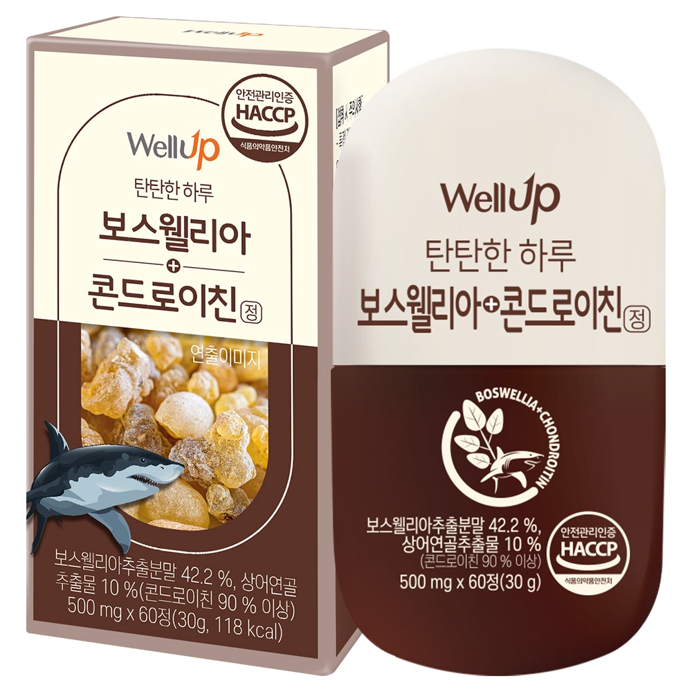 RAWEL Well Up Boswellia & Condroitin Tablet (500mg x 60ea) | Shopee ...