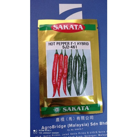 Benih Cili Sakata 461 F1 Hybrid 10gm | Shopee Malaysia