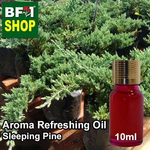 Aroma Refreshing Oil - Sleeping Pine 10ml | Shopee Malaysia