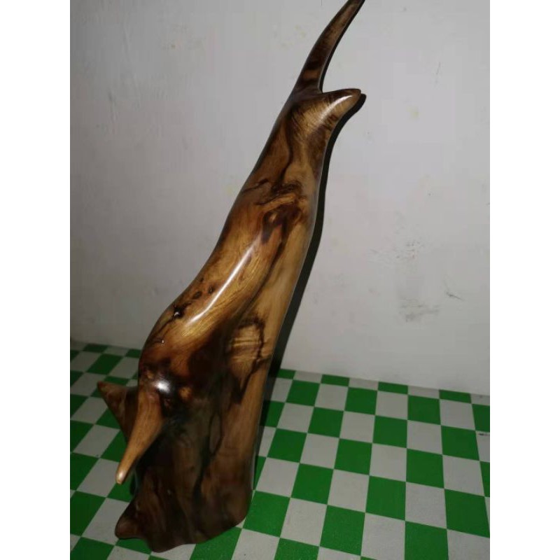 Kayu Kemuning Emas金丝木 | Shopee Malaysia