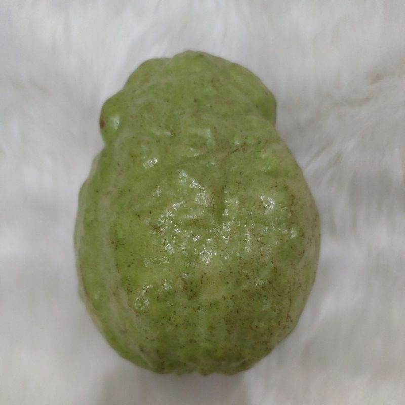 Jambu king Lohan.local jambu batu Vietnam | Shopee Malaysia