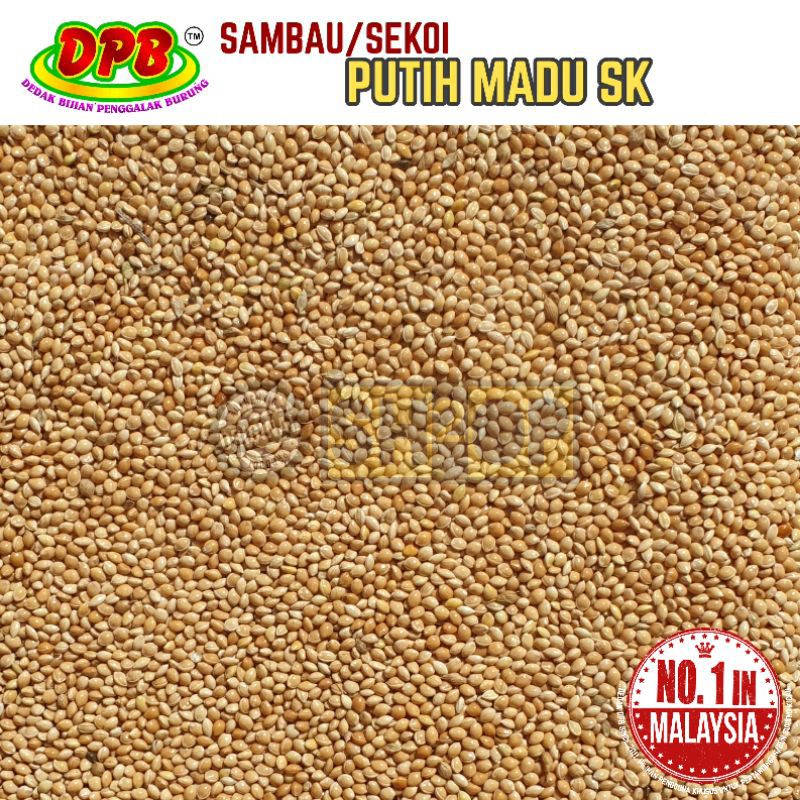 [Sambau/Sekoi] MAKANAN BURUNG MERBOK & TERKUKUR DPB (Zebra dove ...