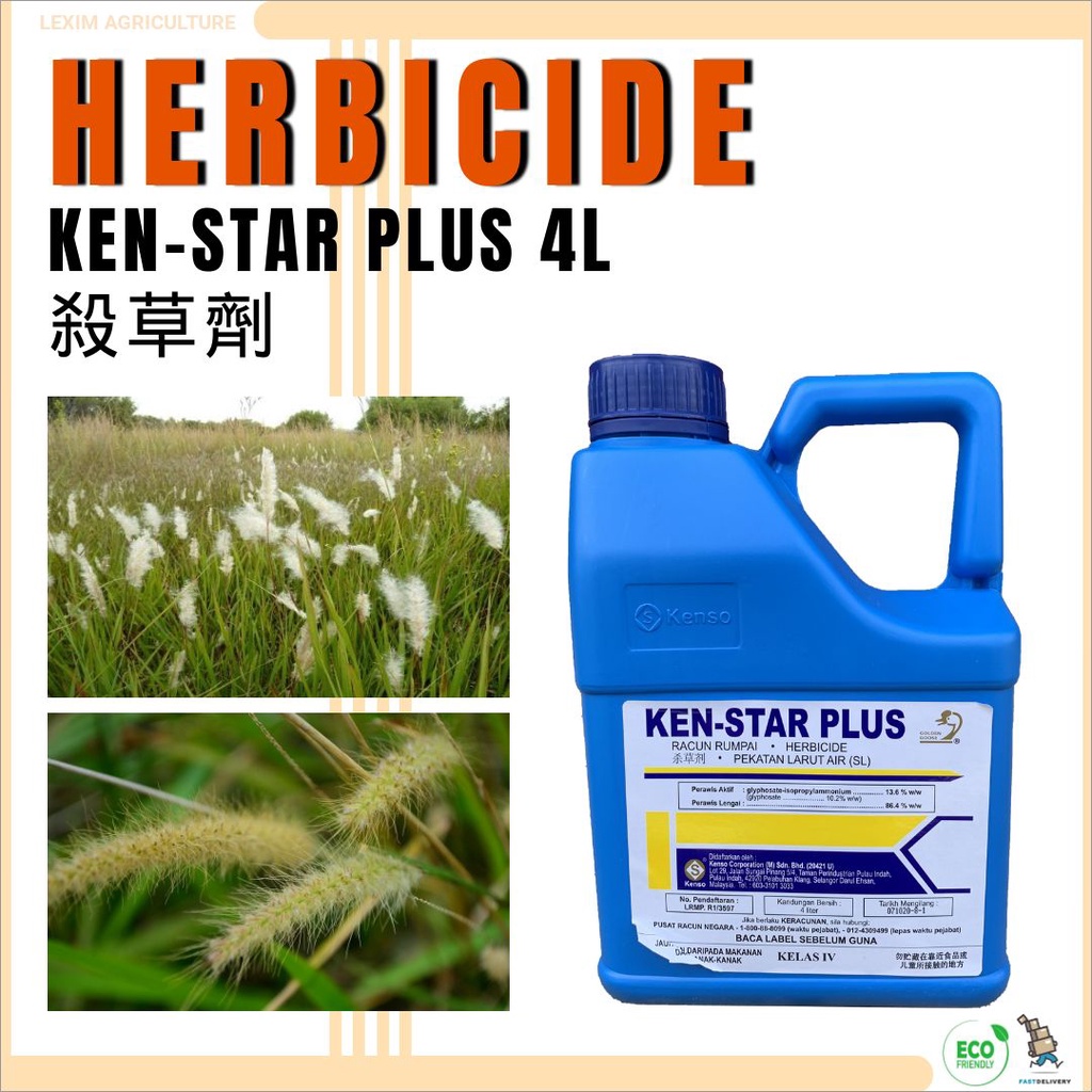 🔥READY STOCK🔥 KEN-STAR PLUS - 4L ( RACUN RUMPAI / HERBICIDE / 杀草剂 ) | Shopee Malaysia