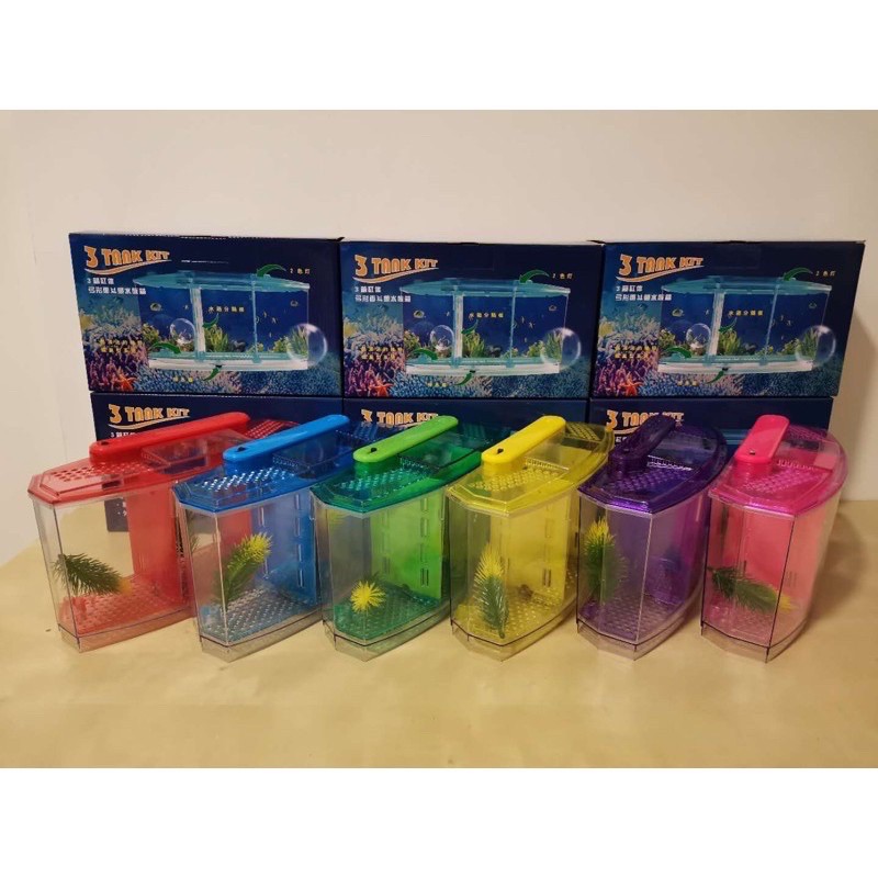 BETTA FISH TANK AQUARIUM TRIPLE Bekas Ikan Laga | Shopee Malaysia