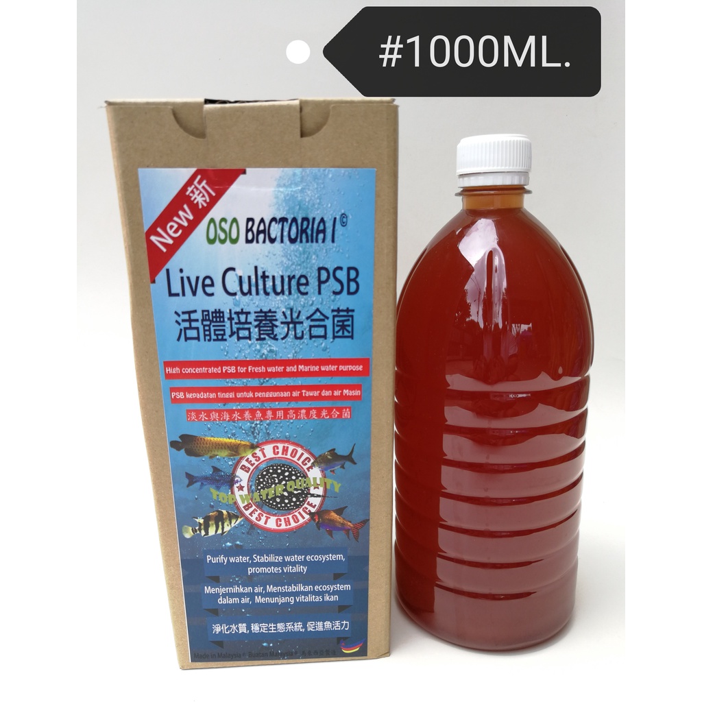 Live Culture PSB OSO Bactoria I 1Litre Fresh and Marine Water Aquarium ...