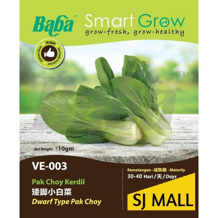 BABA VE-003 DWARF PAK CHOY Seed - Vegetable Seed / Pak Choy Kerdil ...