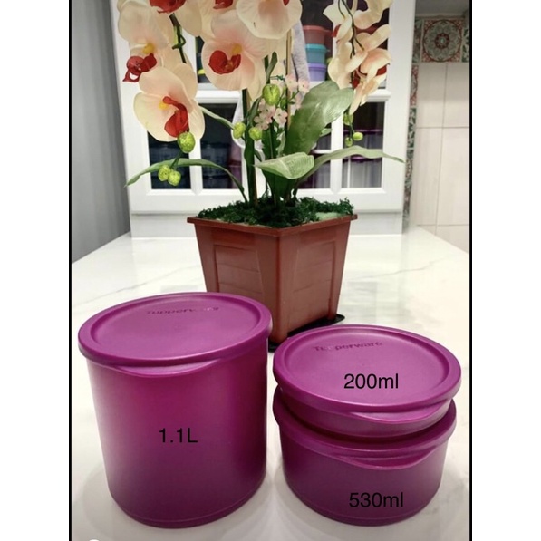 Tupperware Summer Fresh Round (3pcs) | Shopee Malaysia