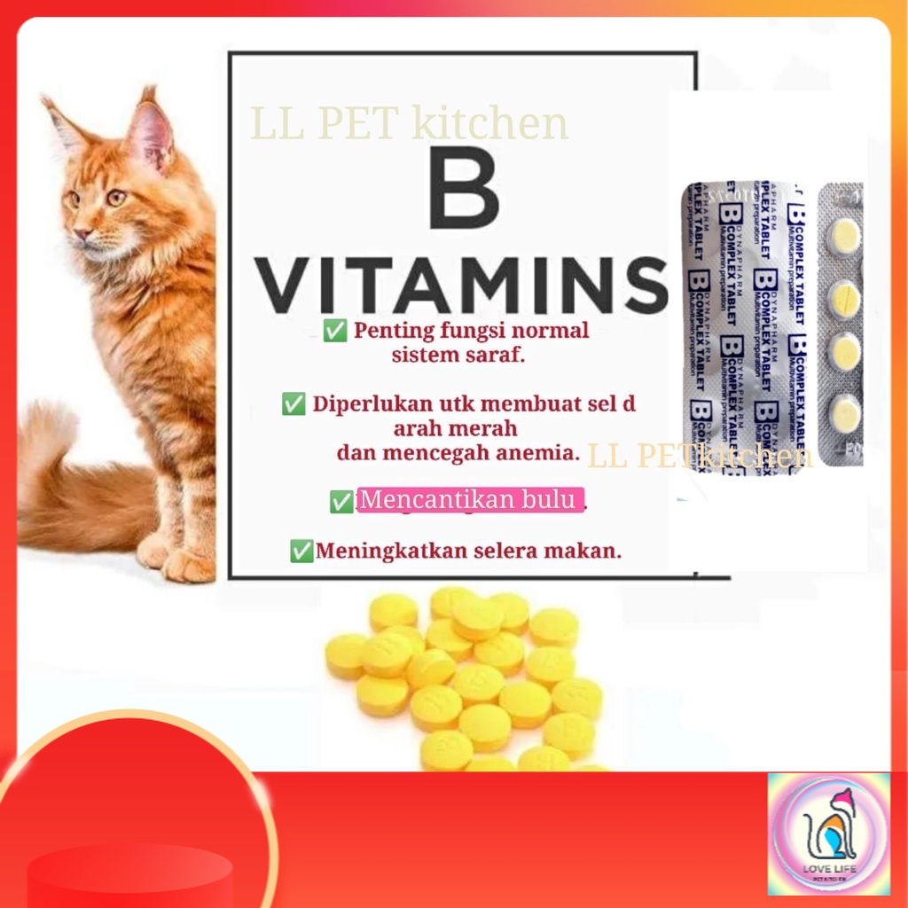 Kucing Dan Anjing Vitamin B Complex Komplek/cat supplement/cat vitamin ...