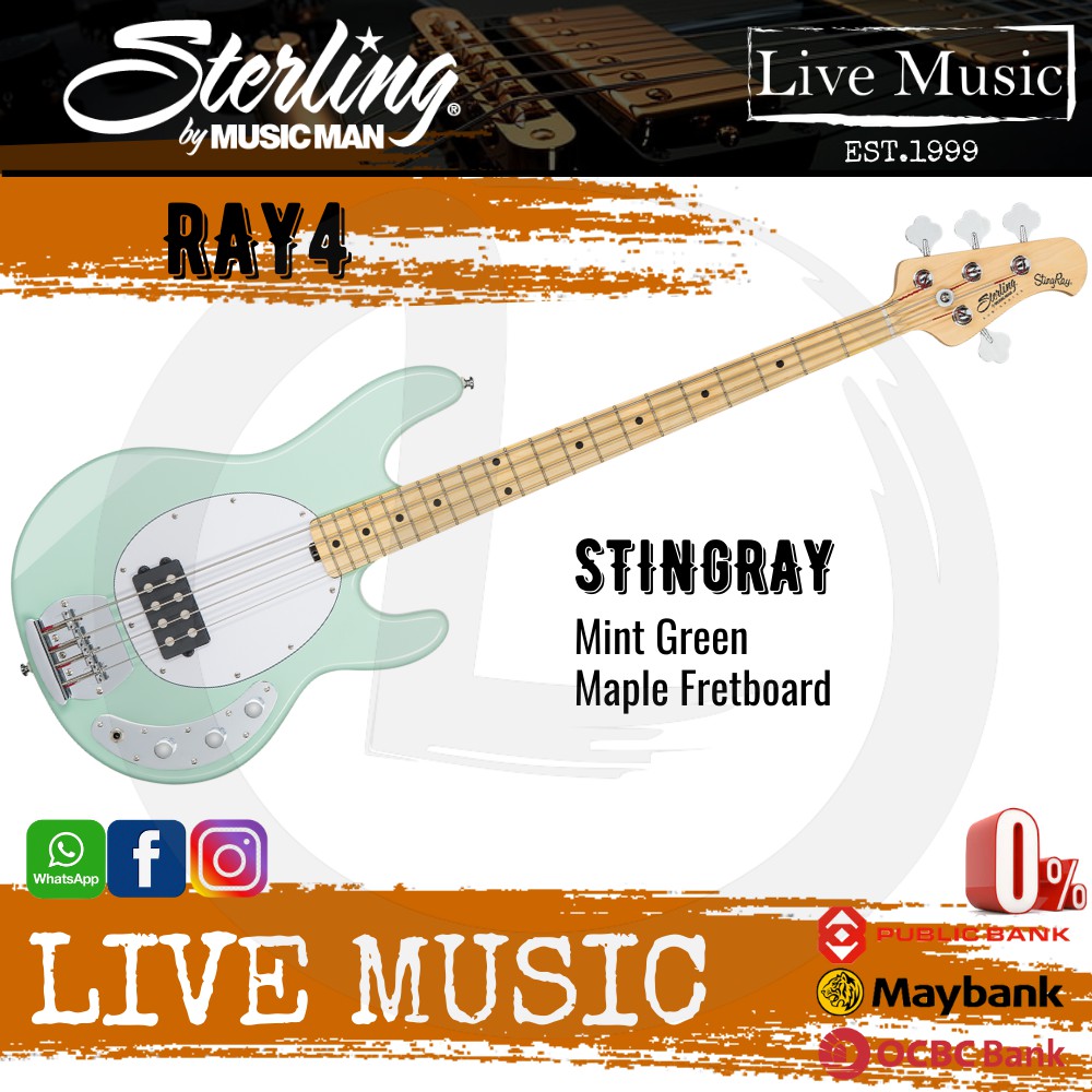 Sterling Ray4 Stingray 4-String Electric Bass Guitar Maple Fretboard - Mint Green (Ray-4/Ray 4 ...