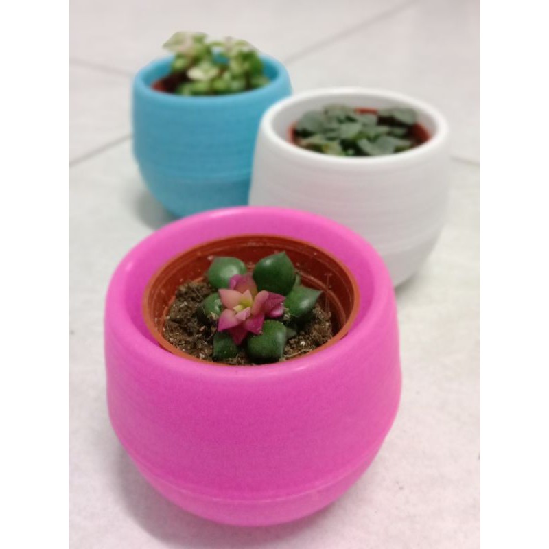 💟 READY STOCK MALAYSIA 💟 Self Watering Mini Pot / PASU MALAS | Shopee ...