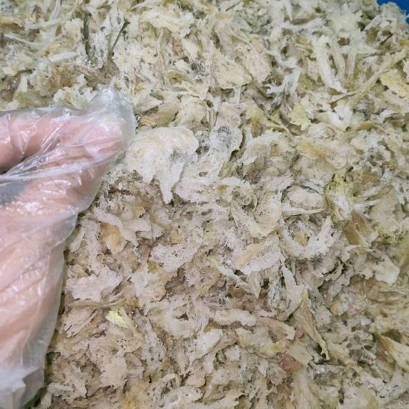5 gram dirty swallow's nest or yenwo | Shopee Malaysia