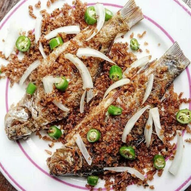 PEKASAM IKAN TOK NAH IKAN SUNGAI|Ready stock| | Shopee Malaysia