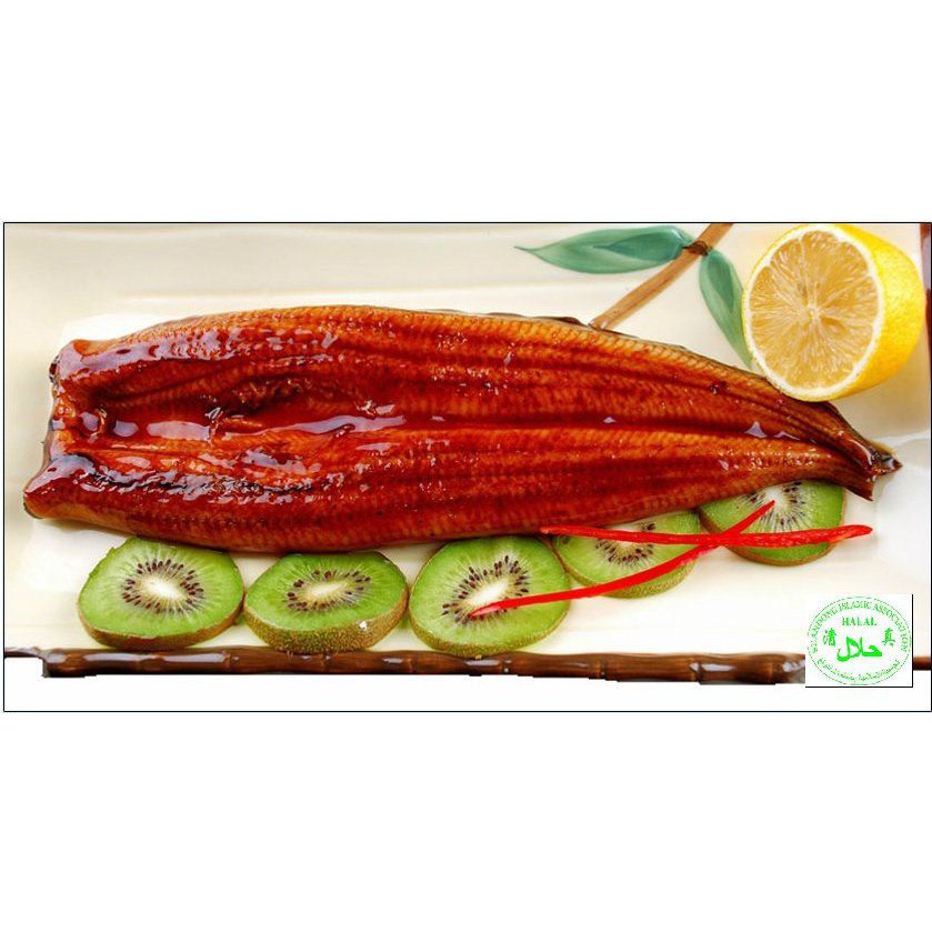 Unagi Kabayaki Eel Grilled With Sauce HALAL (1 pcs) (240g - 260g) 蒲烧烤鳗鱼 ...