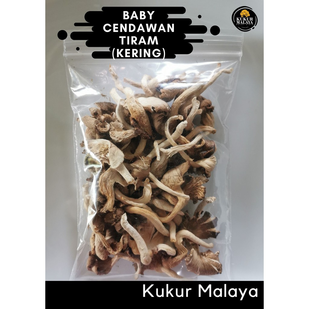 Cendawan Tiram Kering (ready stok) | Shopee Malaysia