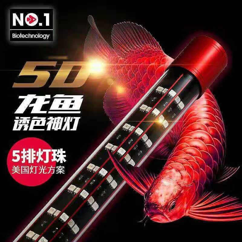 ***READY STOCK*** 5D Arowana LED Display Light 马来西亚现货 NO1 四维 5D 龙鱼观赏神灯 ...