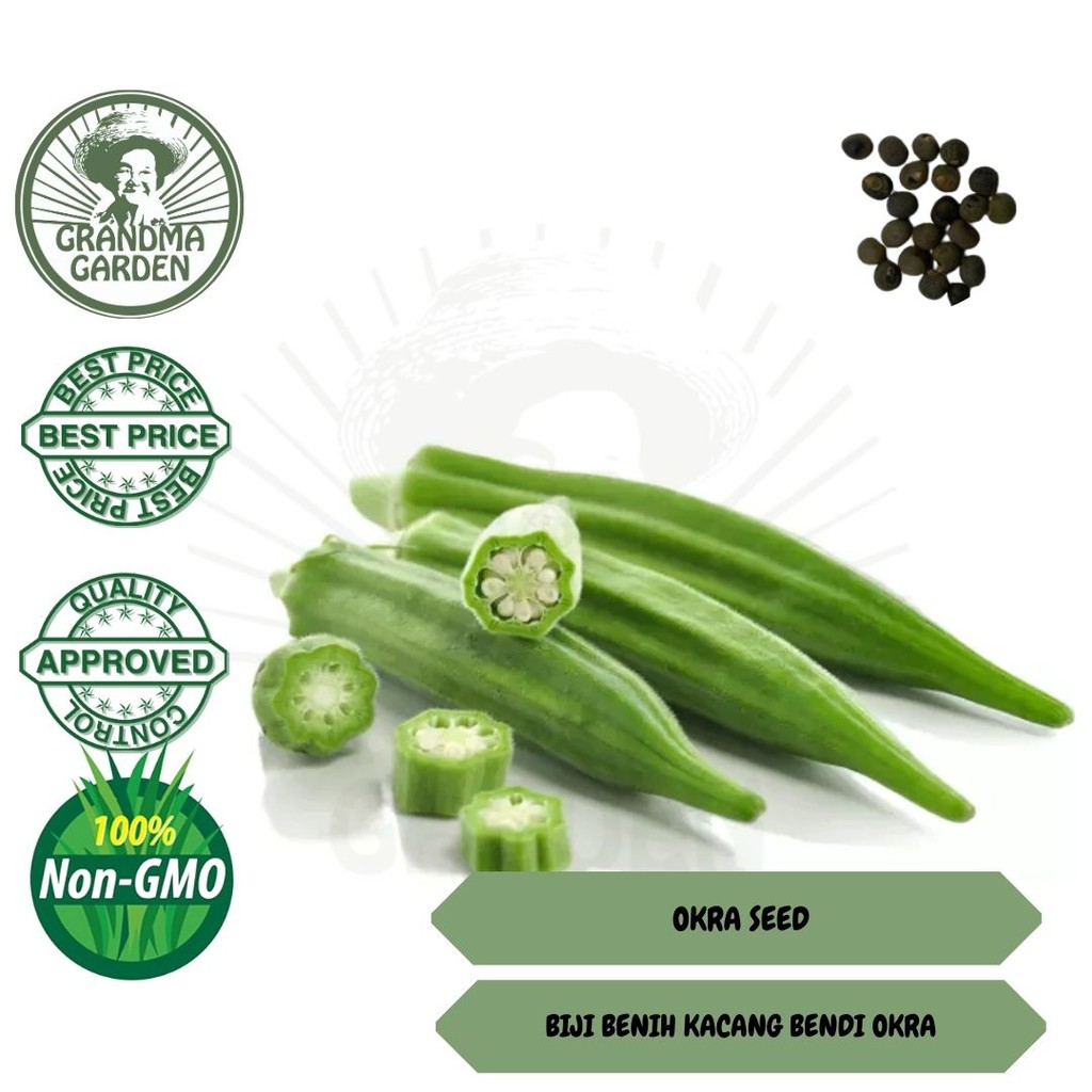 👵BELI 10 FREE 1👵 BIJI BENIH KACANG BENDI OKRA / OKRA SEED ( 1G AROUND 1 ...