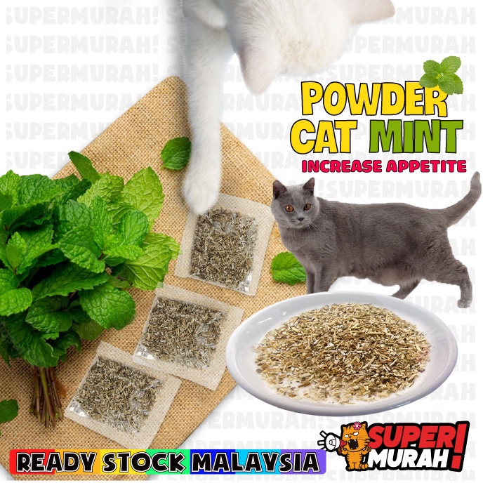 [Serbuk Kitnip Kucing Pokok Galak Kucing]1G Catnip Pure Catmint Powder ...