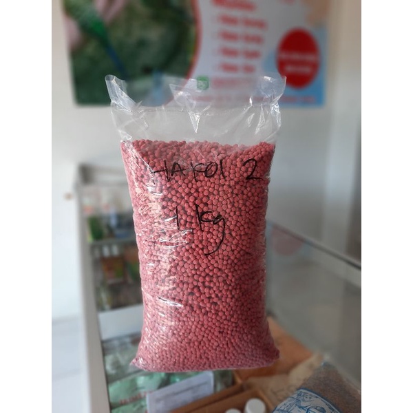 Hakoi uk. 2mm (1kg) | Shopee Malaysia