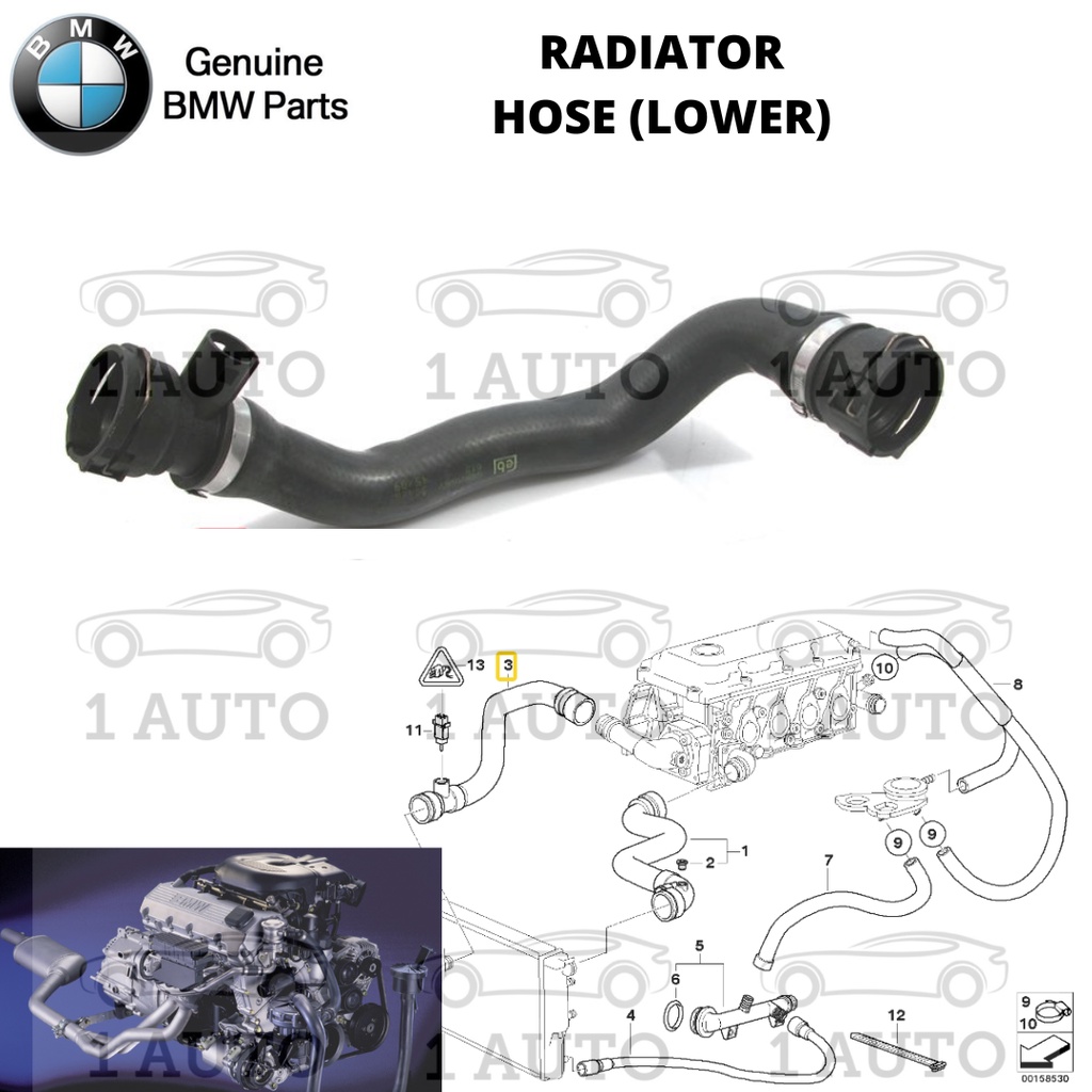 (GENUINE BMW PARTS) LOWER RADIATOR HOSE BMW E46 1.9 SOHC M43 ENGINE ...