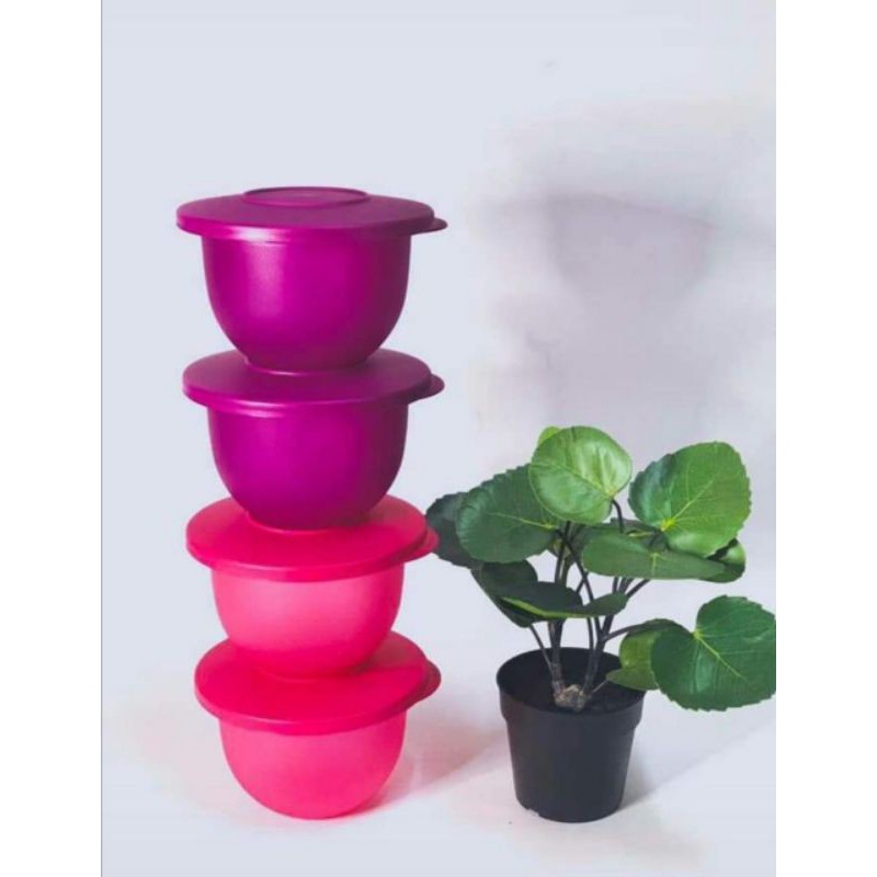 Tupperware expression bowl 550ml(1pc) | Shopee Malaysia