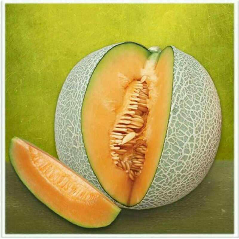BENIH MELON HIBRID F1 ROMEO | Shopee Malaysia