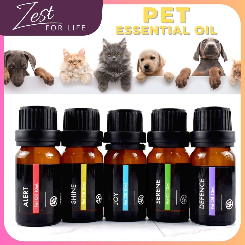 Soothoil Pet Essential Oil Haiwan Peliharaan Kesayangan Dog Cat Kucing ...