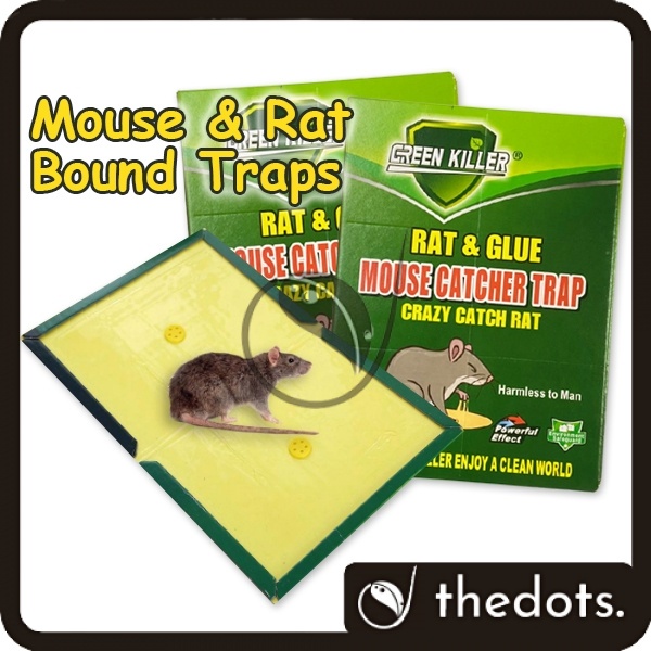 THEDOTS Green Killer Mouse & Rat Sticky Glue Trap Board Pest Control ...