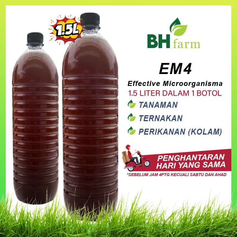 (1.5LITER) EM4 Effective Microorganisms EM4 Penternakan EM4 Perikanan Em4 Pertanian Baja EM Beta ...