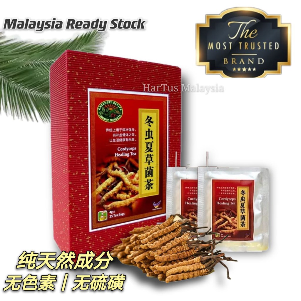 Cordyceps Healing Tea | 冬虫夏草菌茶 冬虫草 hartus 草药 中药 | Shopee Malaysia