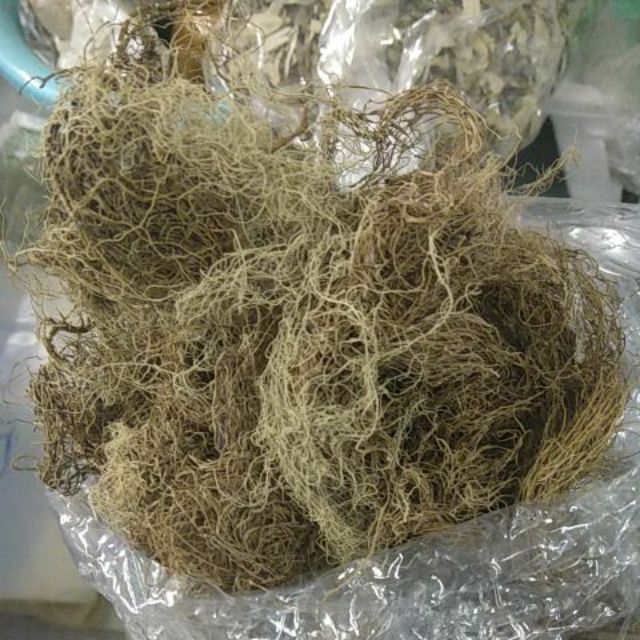 💥💥 Akar angin 50gram | Shopee Malaysia