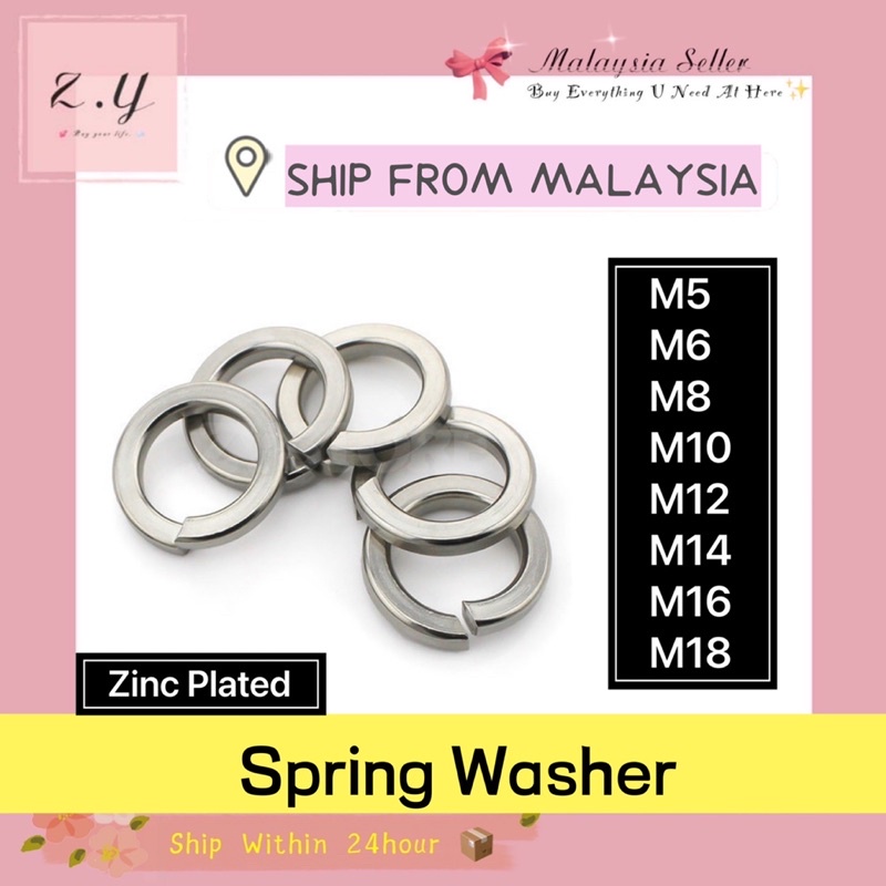 Spring Washer 2pcs M5 M6 M8 M10 M12 M14 M16 M18 Zinc Plated Z/P (Spring ...