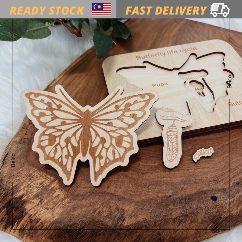 *STOCK CLEARENCE* Insects Life Cycle Butterfly Ladybug Frog Life Cycle ...