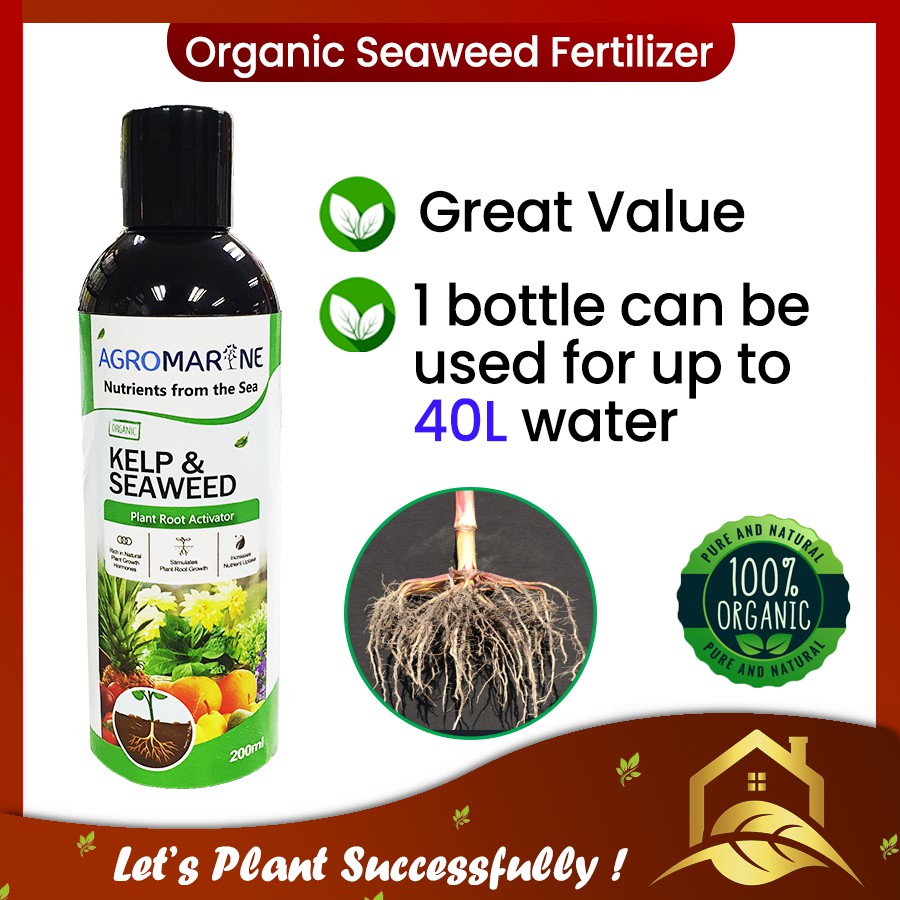 Seaweed Fertilizer / Root Booster / Root Growth Promoter / Stronger ...