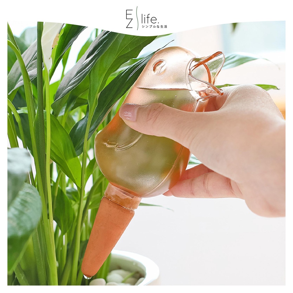 Clearance Self-Watering Dripper For Indoor Plant Transparent Bird Auto ...