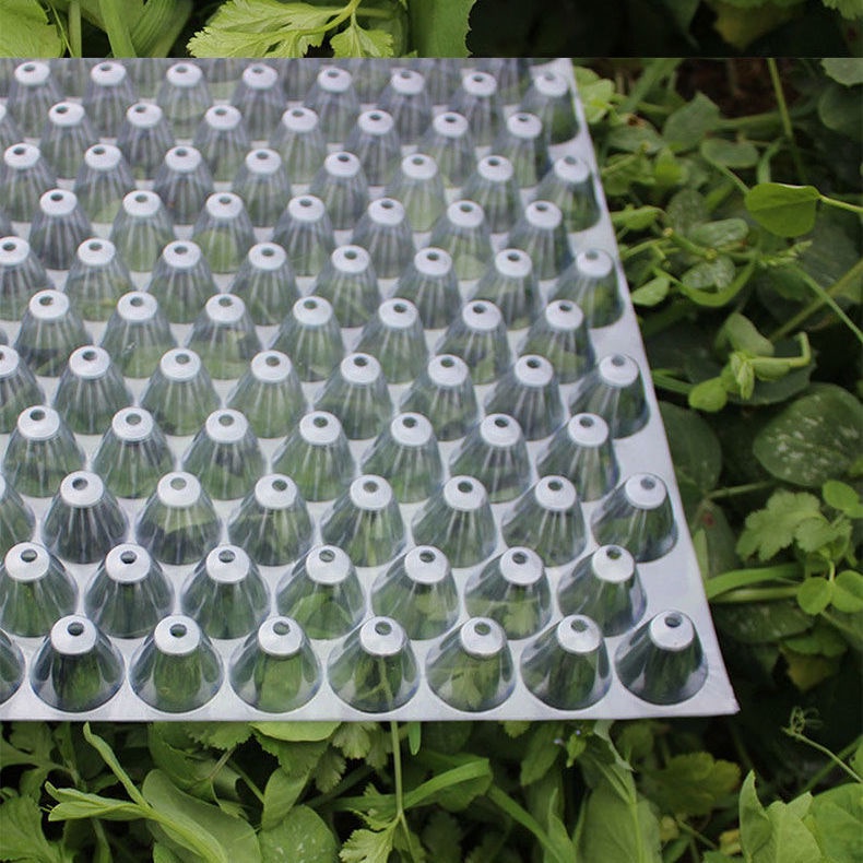Throwing Seedling Tray Rice Artificial Throwing Late Rice Seedling Tray ...