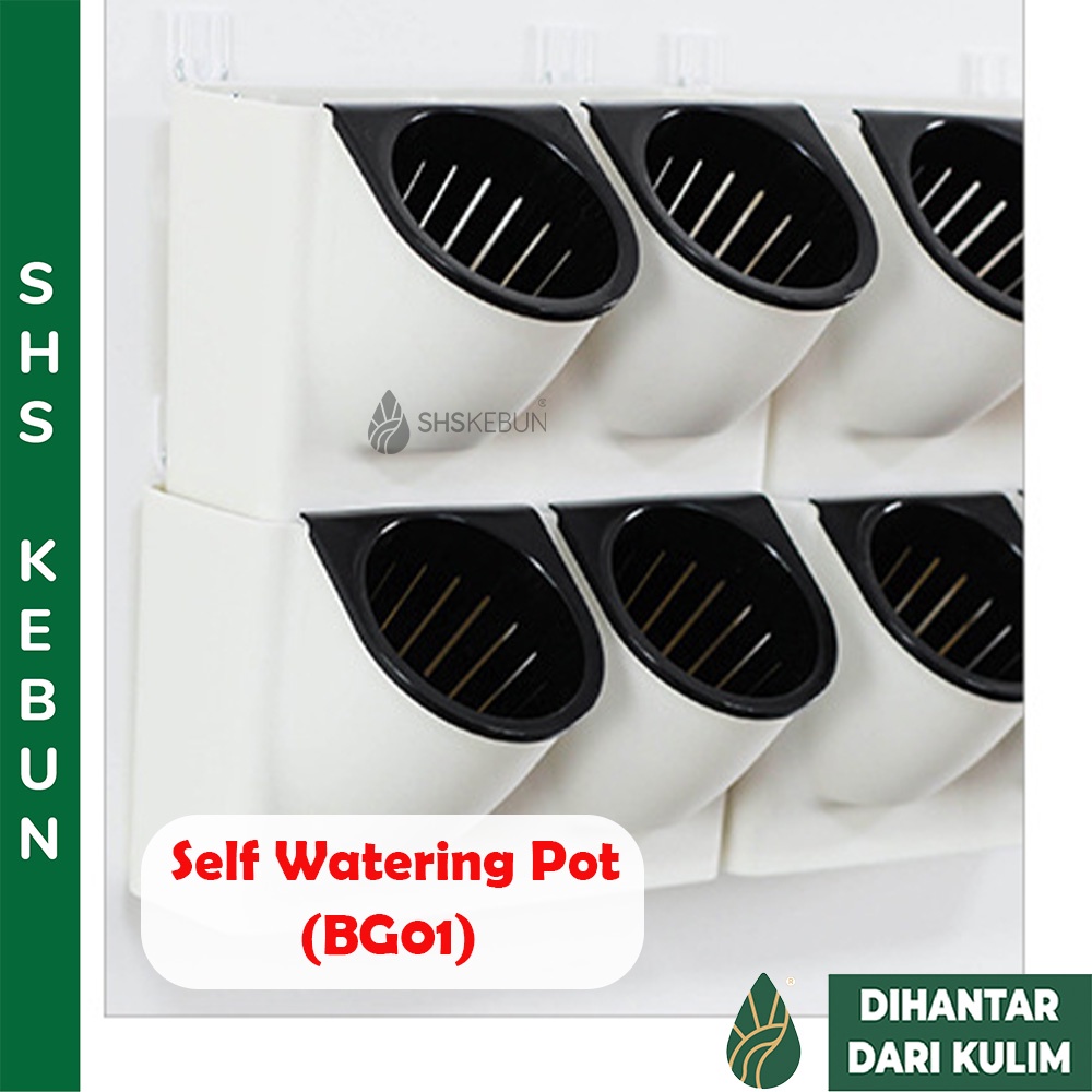 Hangable Plant Pot BG01 Mini Twin Wall Hanging Hydroponic Pot Pasu ...