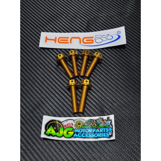 Heng Tpost Bolts Set for Raider 150 FI / Carb (6 pcs per set) | Shopee ...