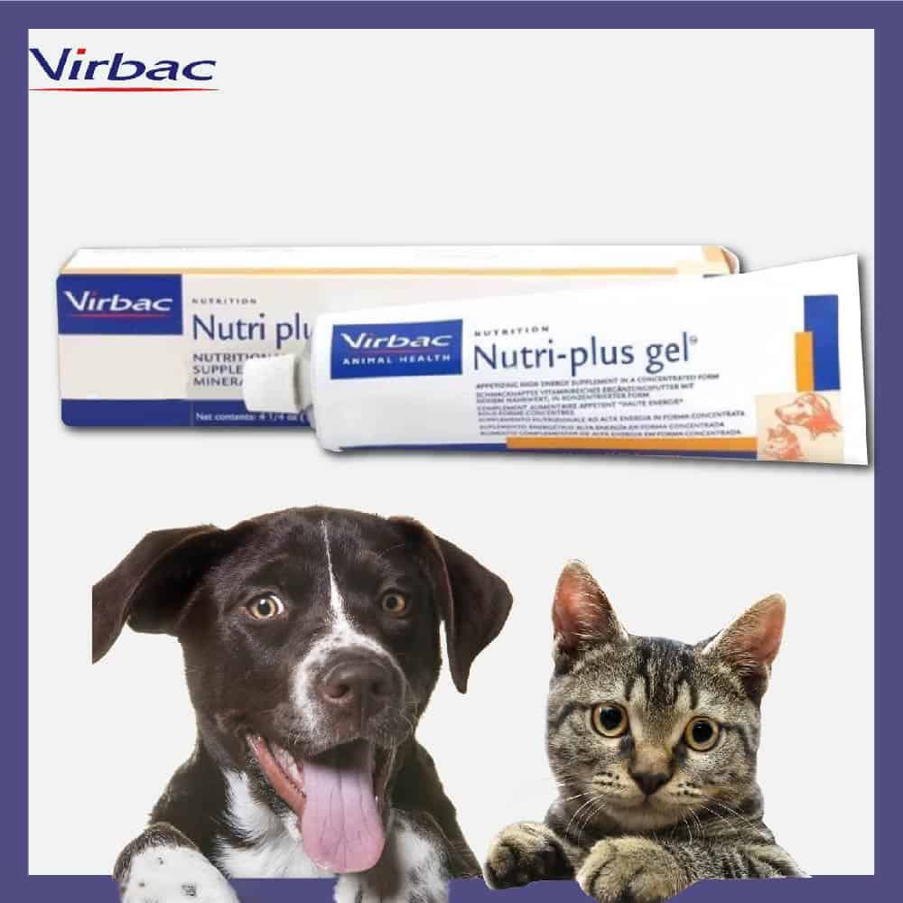 Virbac NUTRI-PLUS GEL 120.5g Supplement For Cats & Dogs 100% authentic ...