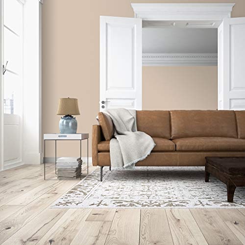 COLOUR : TOFFEE CREAM #12649 - EMULSION #PAINT FOR INTERIOR AND ...