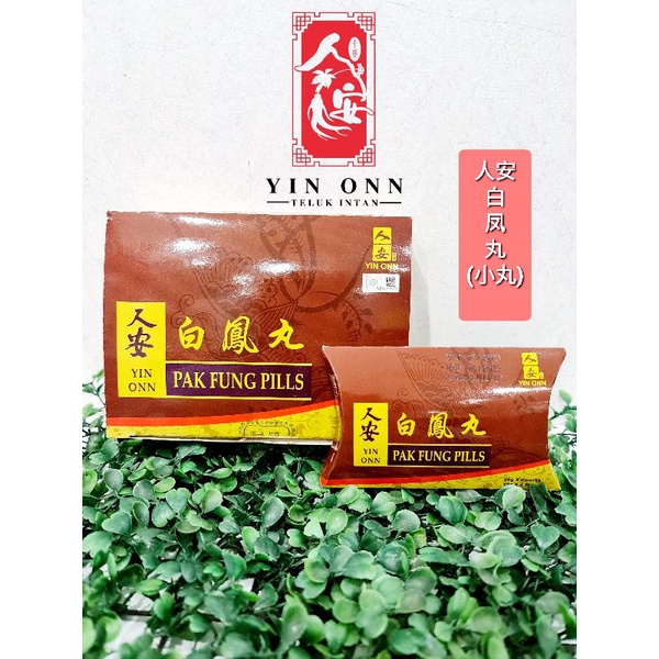 Yin Onn Pak Fung Pills 8g+/- X 6packs 人安白凤丸 (小丸） | Shopee Malaysia