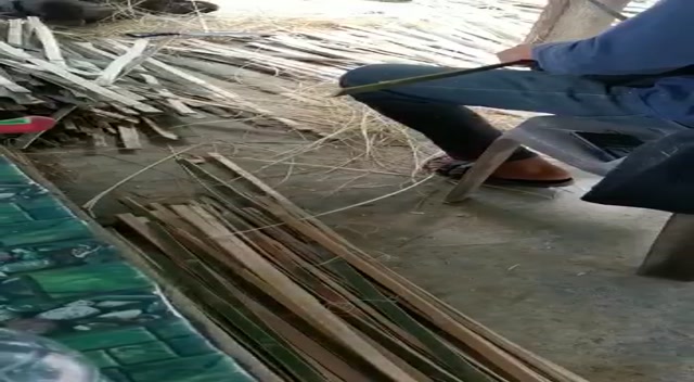 Bamboo stick 6 kaki/buluh pancang/bamboo/bamboo stick/plant support ...