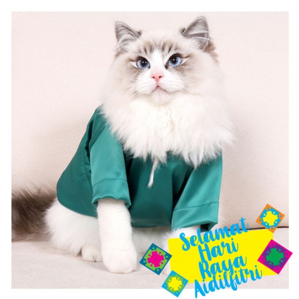 Baju Melayu Kucing Baju Kurung Kucing baju Raya kucing | Shopee Malaysia