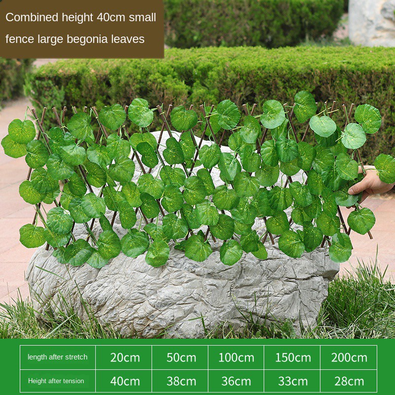 Fence Pagar Daun Balcony Garden Natural Creeper Plants Leaves ...