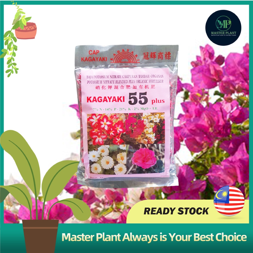MP Kagayaki 55 Plus Fertilizer Bunga Kertas(Japan Brand Baja Bunga ...